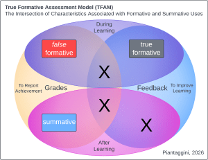 True Formative Assessment Model (TFAM) & Guidance Phases | Magister P.